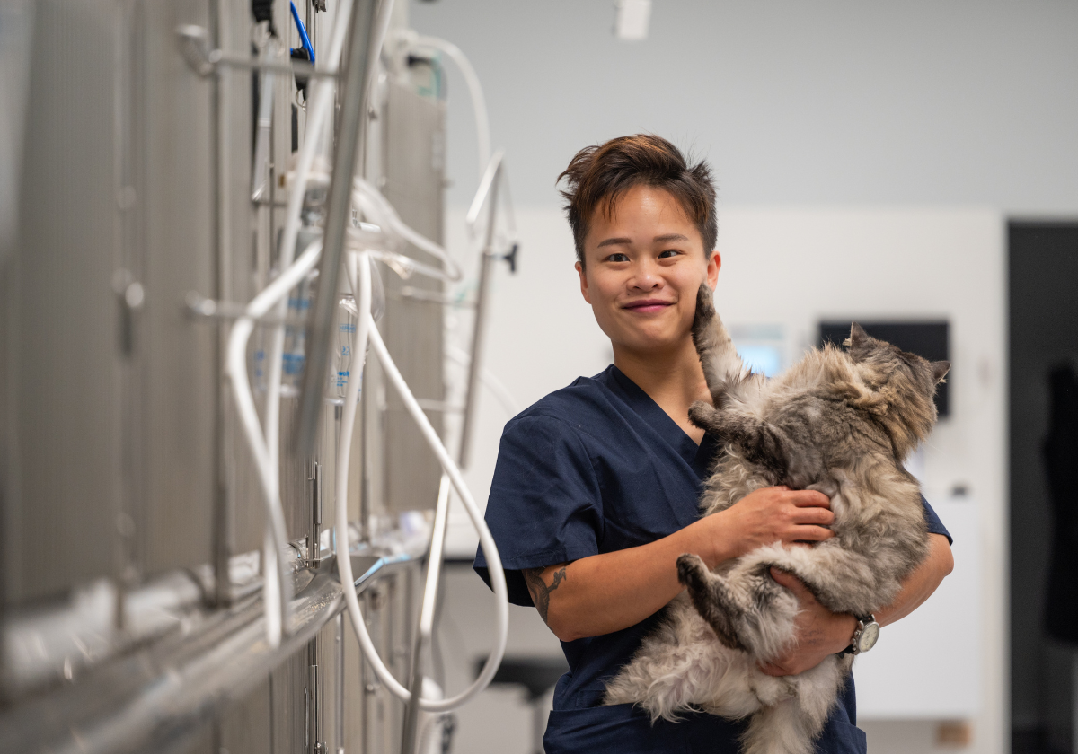 Emergency Vets & Animal Hospitals in Sydney - Open 24Hrs